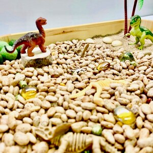 Dino Dig Sensory Kit - Etsy