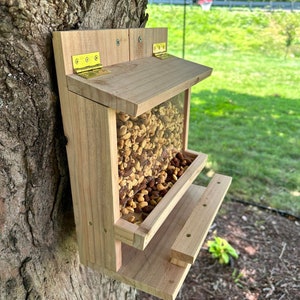 Squirrel Bar, Squirrel Feeder, Pet Feeder, Bird Feeder, - Etsy