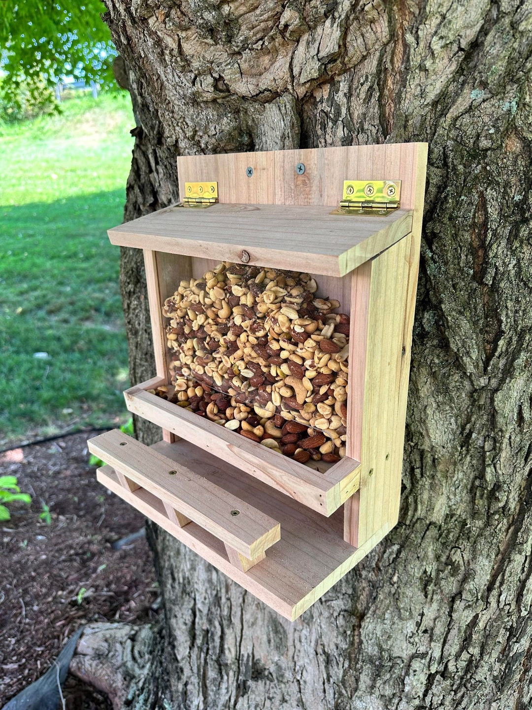 Squirrel Bar, Squirrel Feeder, Pet Feeder, Bird Feeder, - Etsy