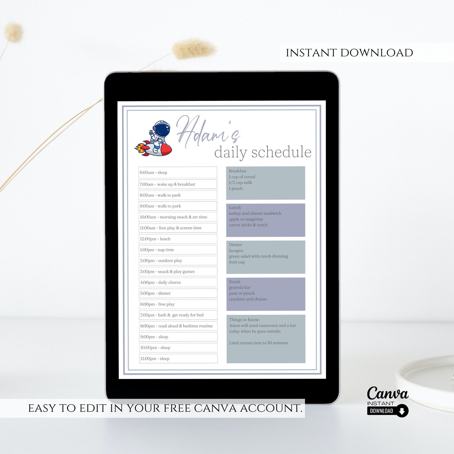 Editable Child's Daily Schedule Template, Printable Visual Schedule ...