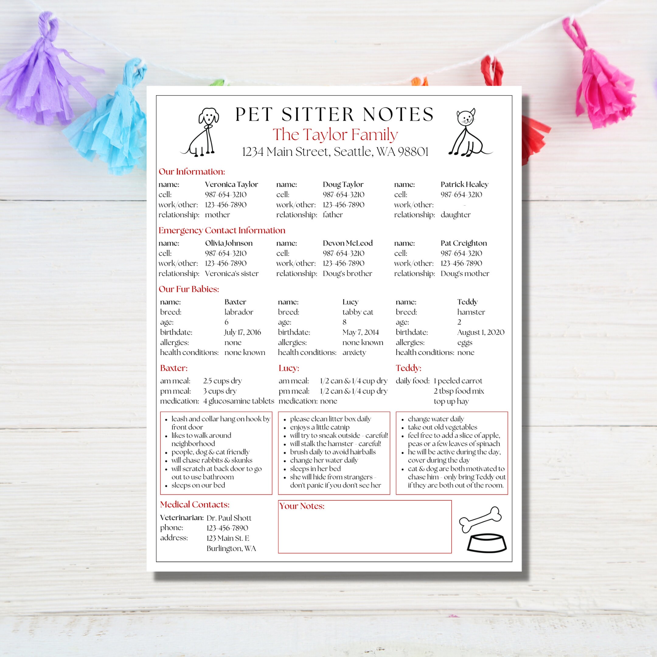 Editable Pet Sitter Notes Sheet, Printable Pet Sitter Plan, Pet ...