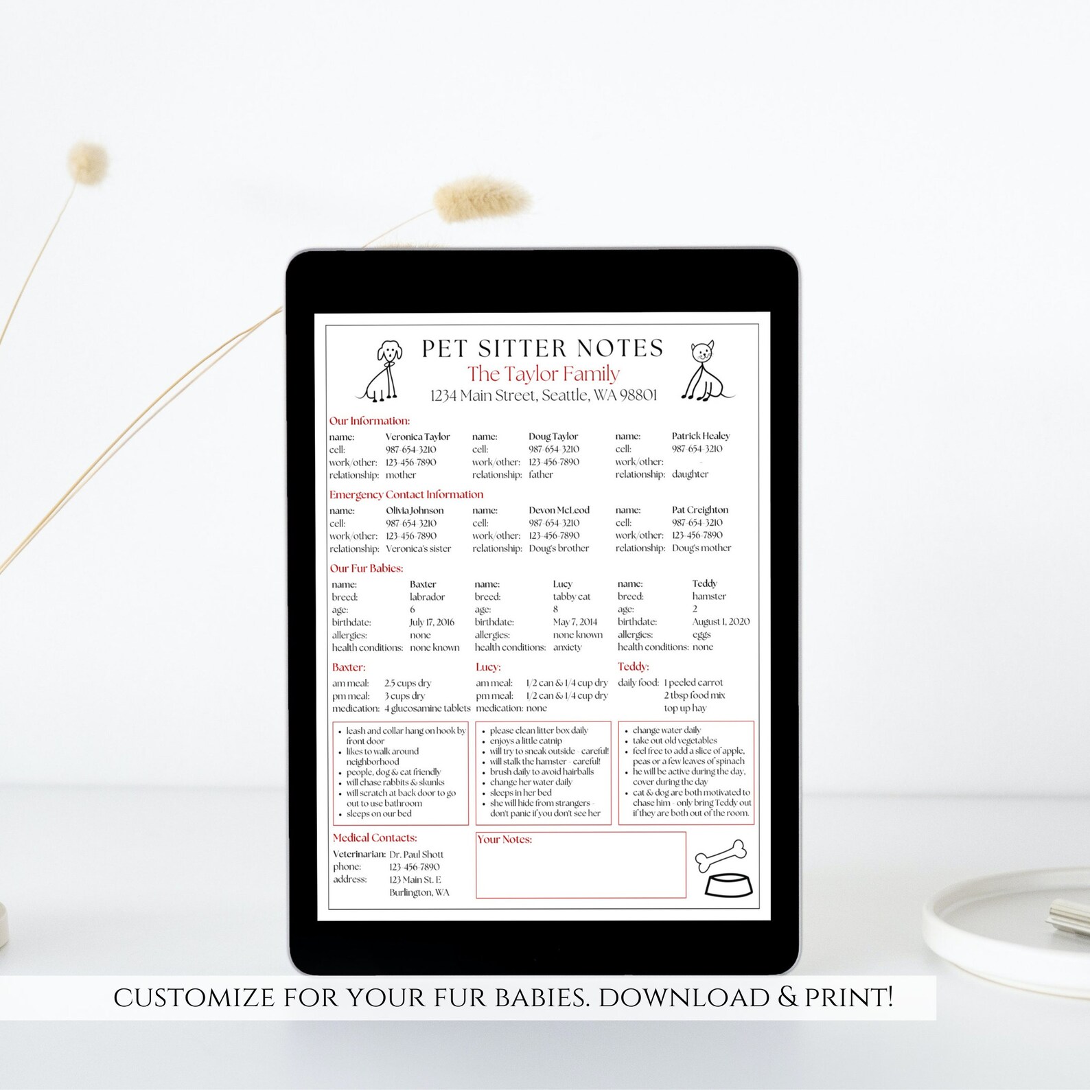 Editable Pet Sitter Notes Sheet, Printable Pet Sitter Plan, Pet ...