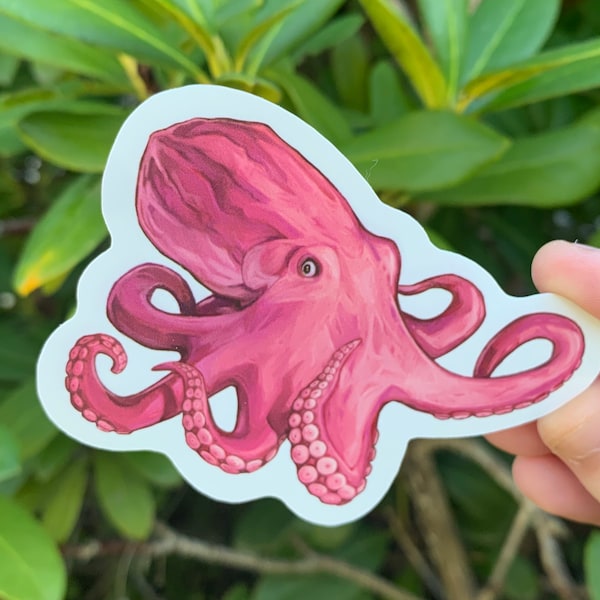 Giant Pacific Octopus Sticker - Etsy