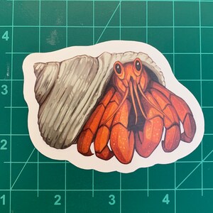 Hermit Crab Sticker - Etsy