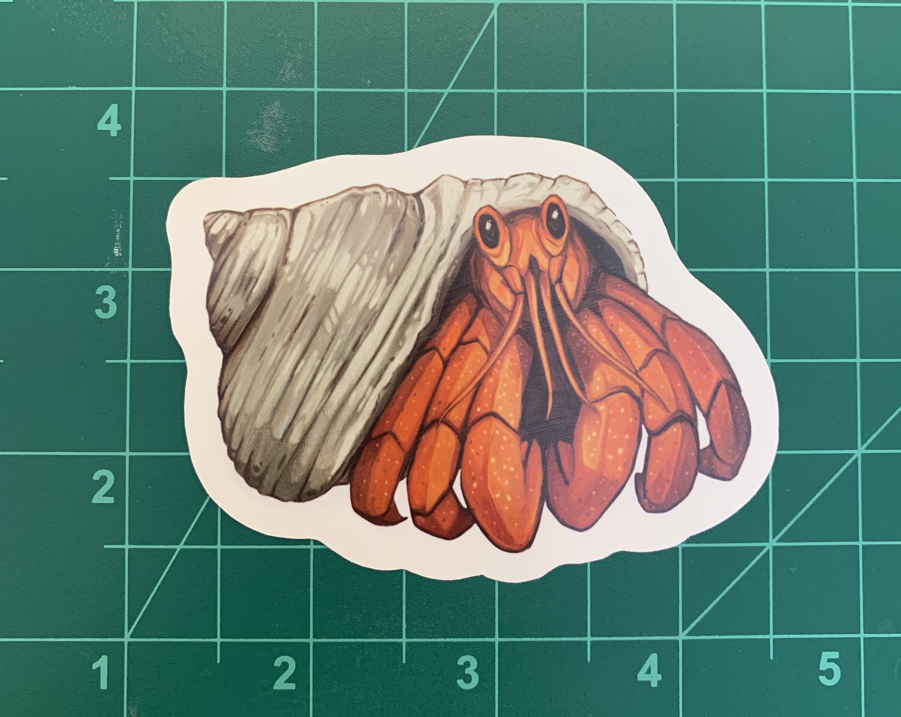 Hermit Crab Sticker - Etsy