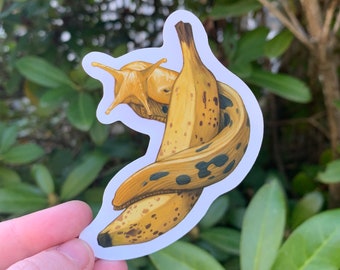 Banana Slug Sticker - Etsy