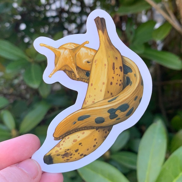 Banana Slug - Etsy