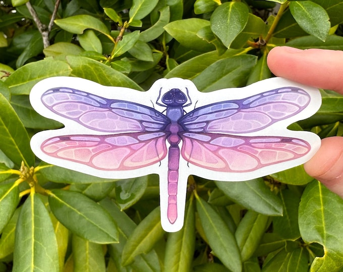 Art Nouveau Dragonfly Vinyl Sticker Beautiful Insect Decal for Laptops ...