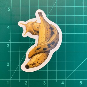 Banana Slug Sticker - Etsy