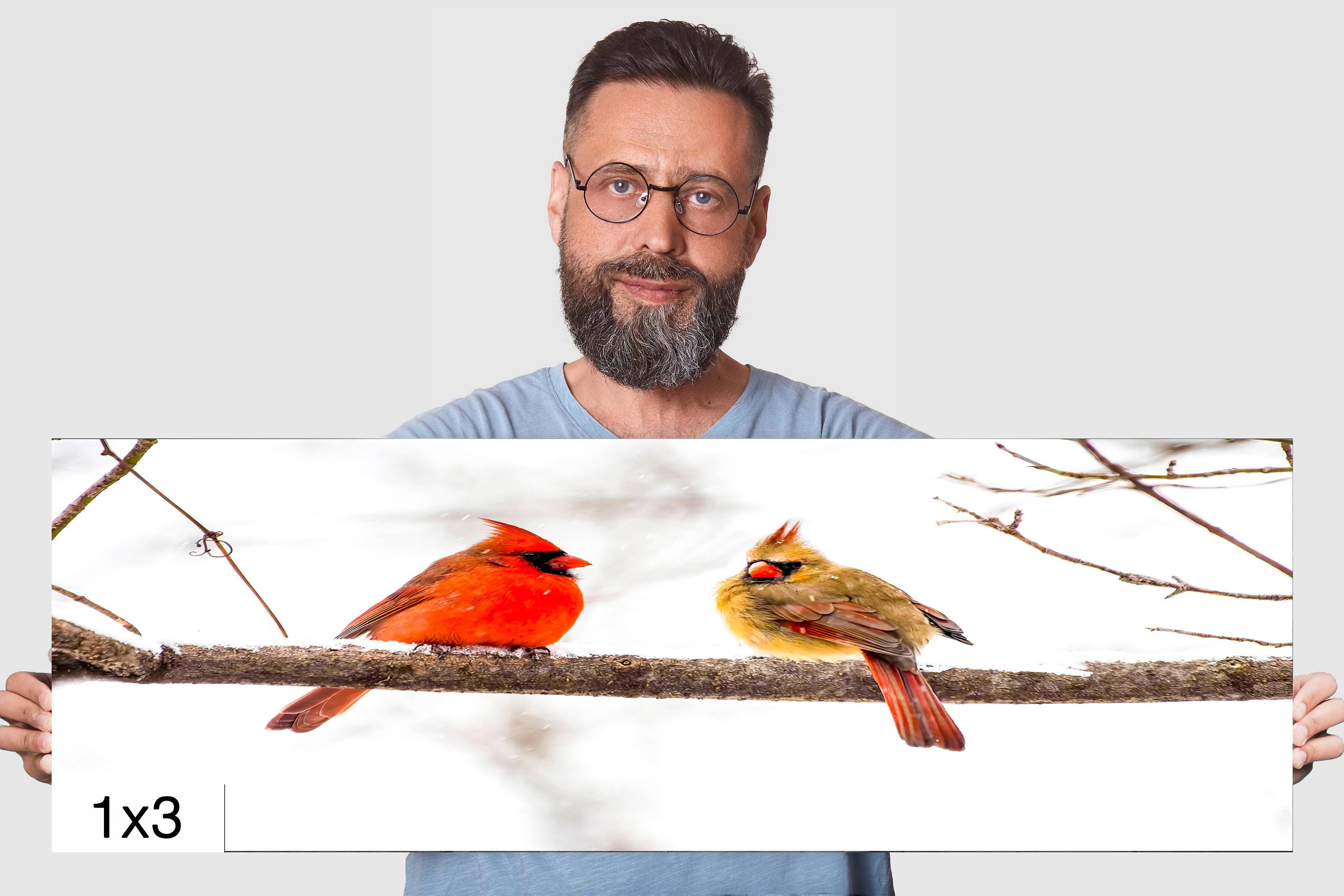 Magical Winter Cardinals Male and Female Together - Etsy