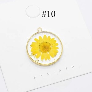 5pcs Dried Flower Charm, Resin Charms Pendant, DIY Bracelet Necklace ...