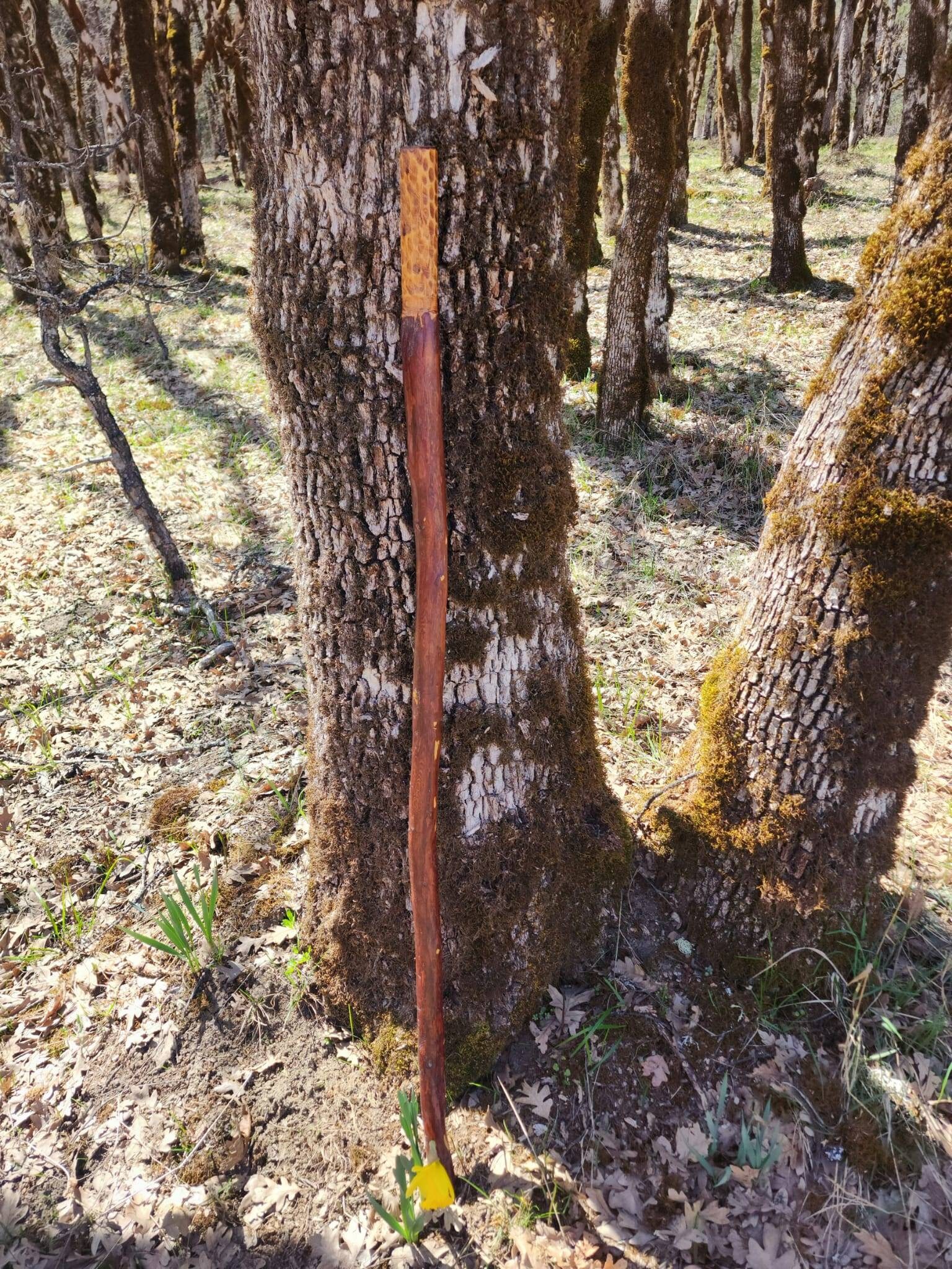 Redwood Handmade Crooked Walking Stick. Rustic Hiking Stick. - Etsy