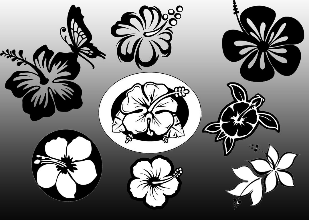 Hibiscus Flower SVG Collection: Tropical Floral Designs (20 Files ...