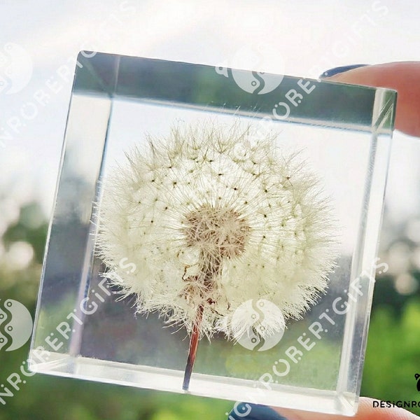 Dandelion Puff Decor - Etsy