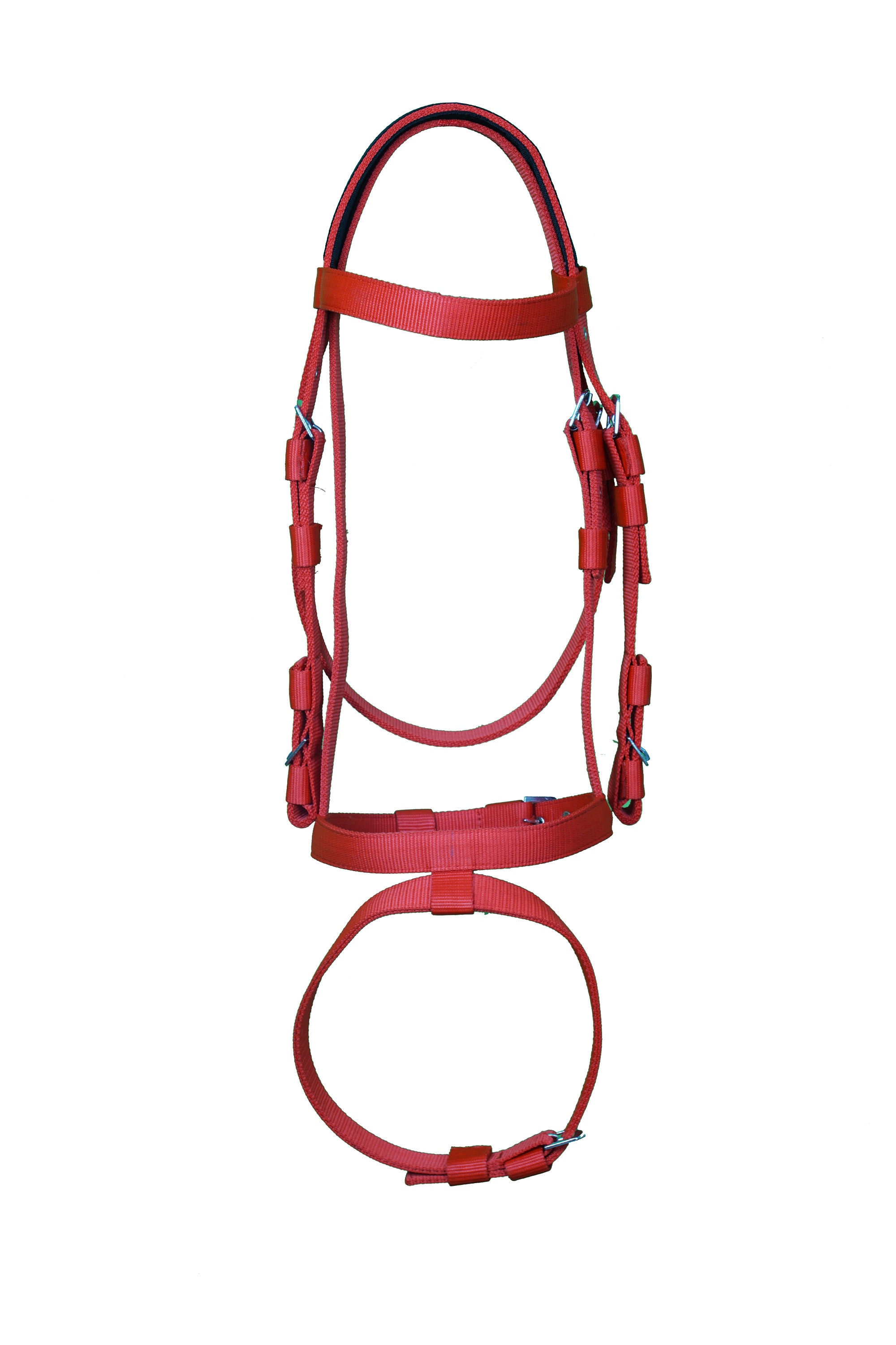 Horse Padded Bridle With Split Reins Full Cob Pony - Etsy