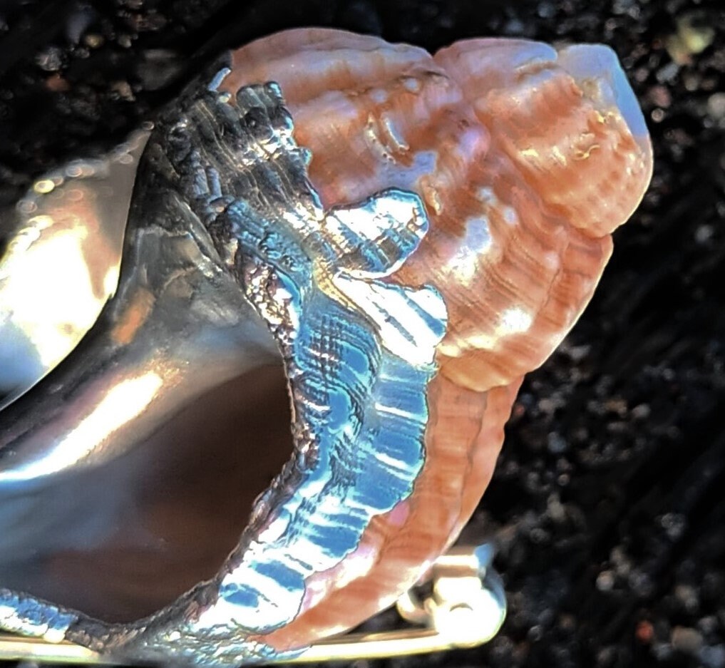 Riell Avantgarde Shell Brooch, Statement Silver Brooch, Sculptural ...