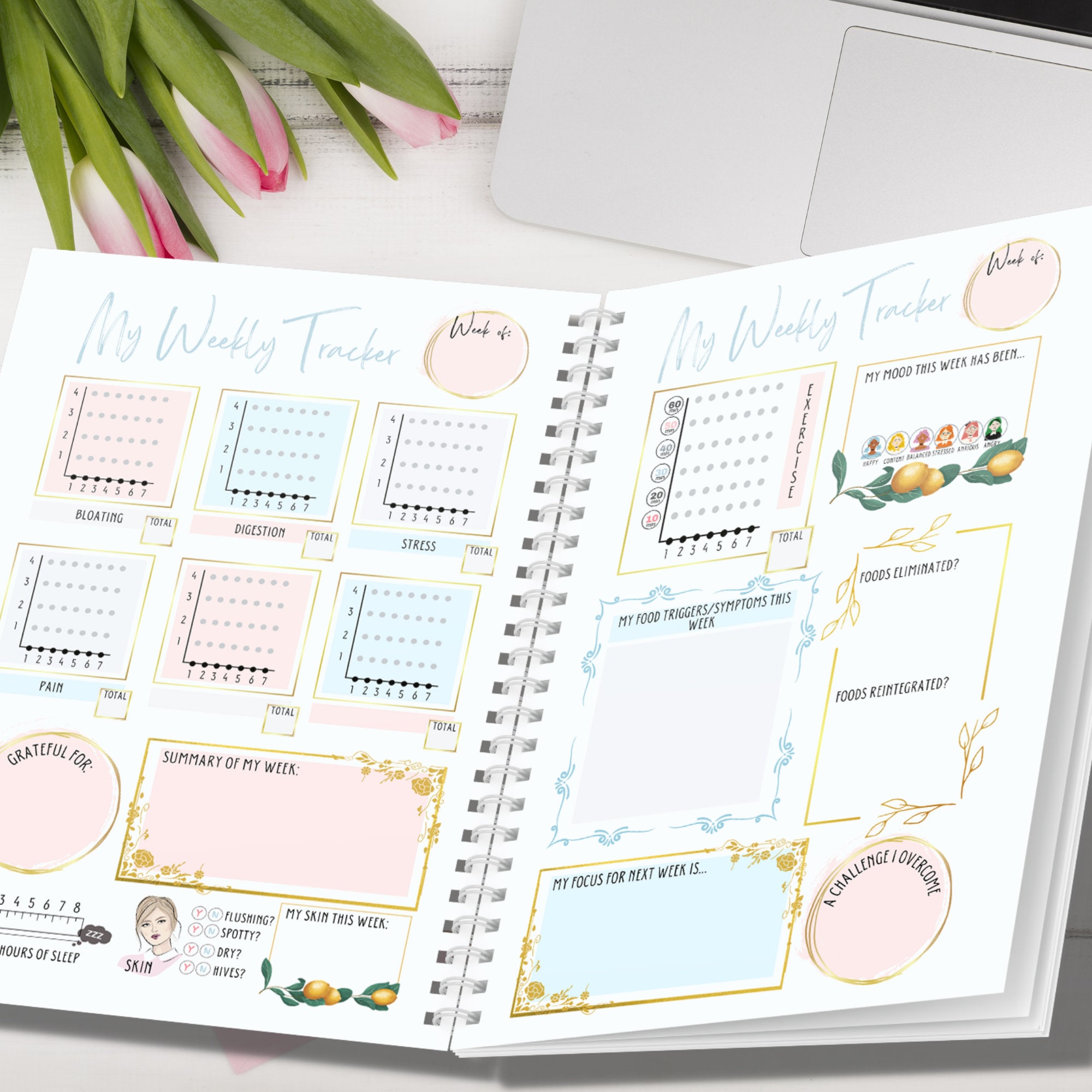 PRINTABLE Food Sensitivity Tracker Journal Food - Etsy