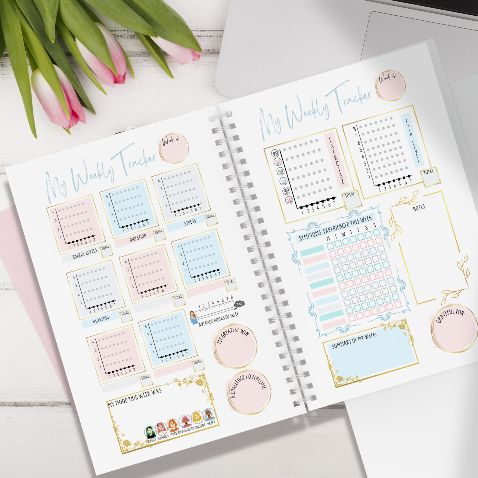 PRINTABLE Chronic Illness Tracking Journal Symptom Tracker - Etsy