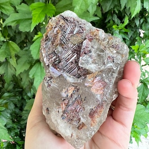 Rare Sagenite Rutile (sagenite De Saussure) on Elestial Quartz, Minas ...