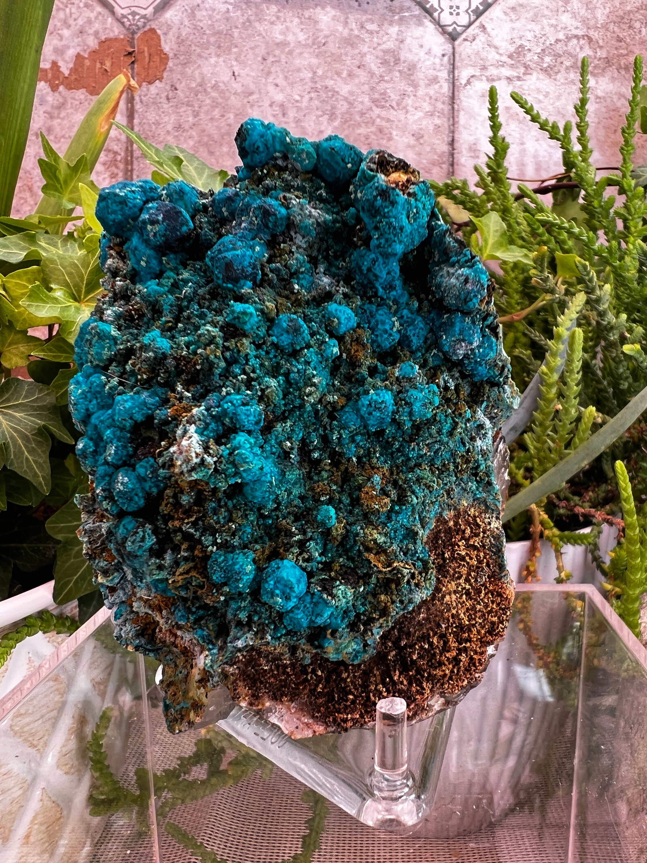 Chrysocolla , Malachite, Limonite and Tenorite on Quartz From Tentadora ...