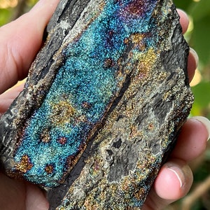 Permineralized Fossilized Wood W/ Rainbow Marcasite: Cabinet Size 3.5in ...