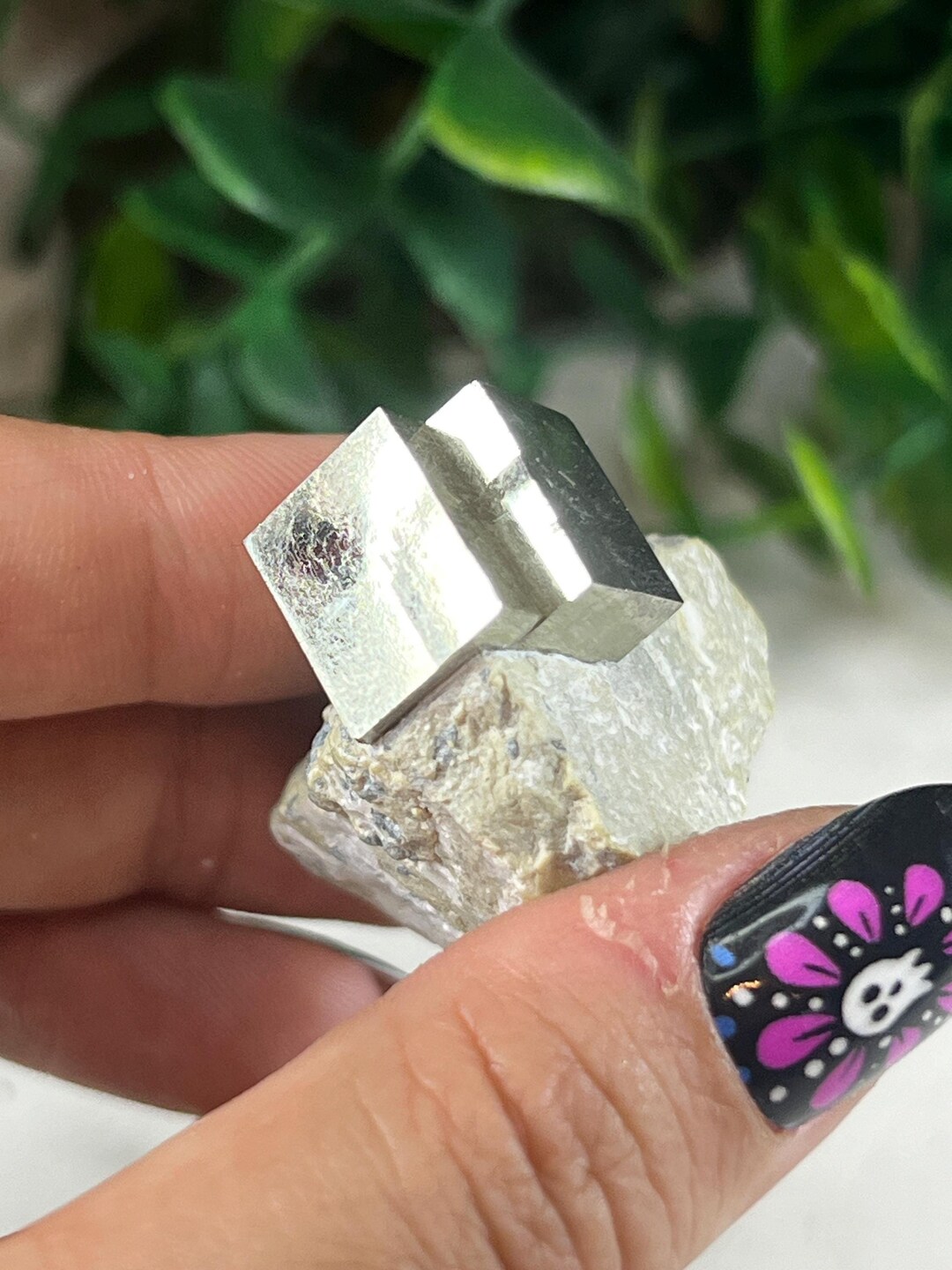 Cubic Pyrite on Matrix From Victoria Mine, La Rioja, Spain: MIN ...