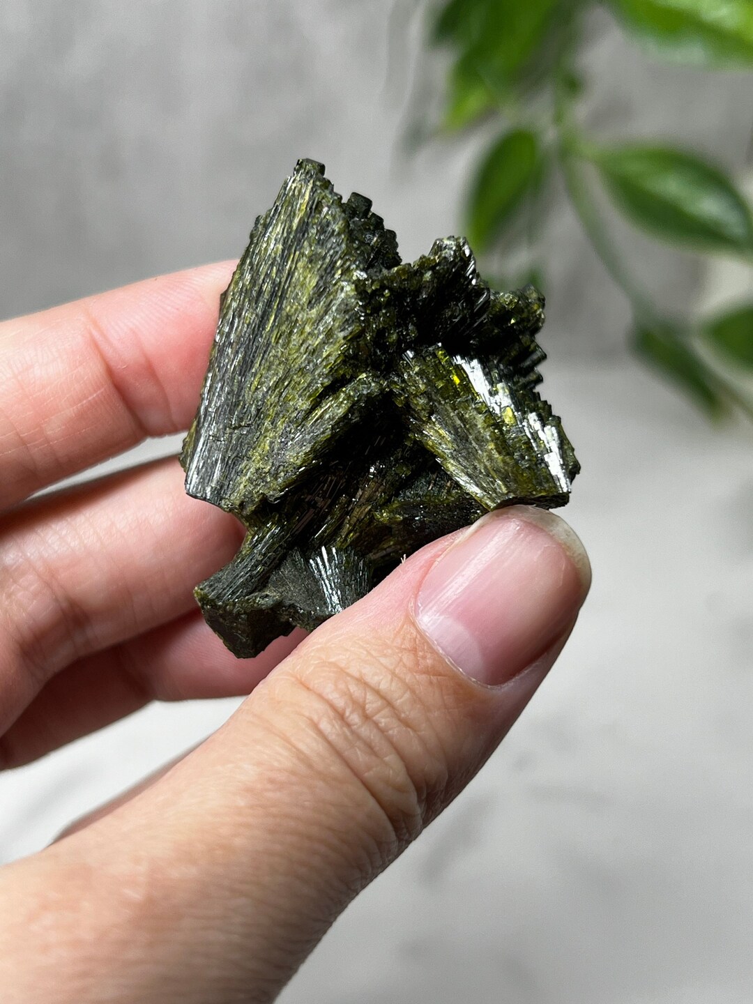 Epidote - Fan Shaped - From Baluchistan, Pakistan: MIN Miniature Size 1 ...