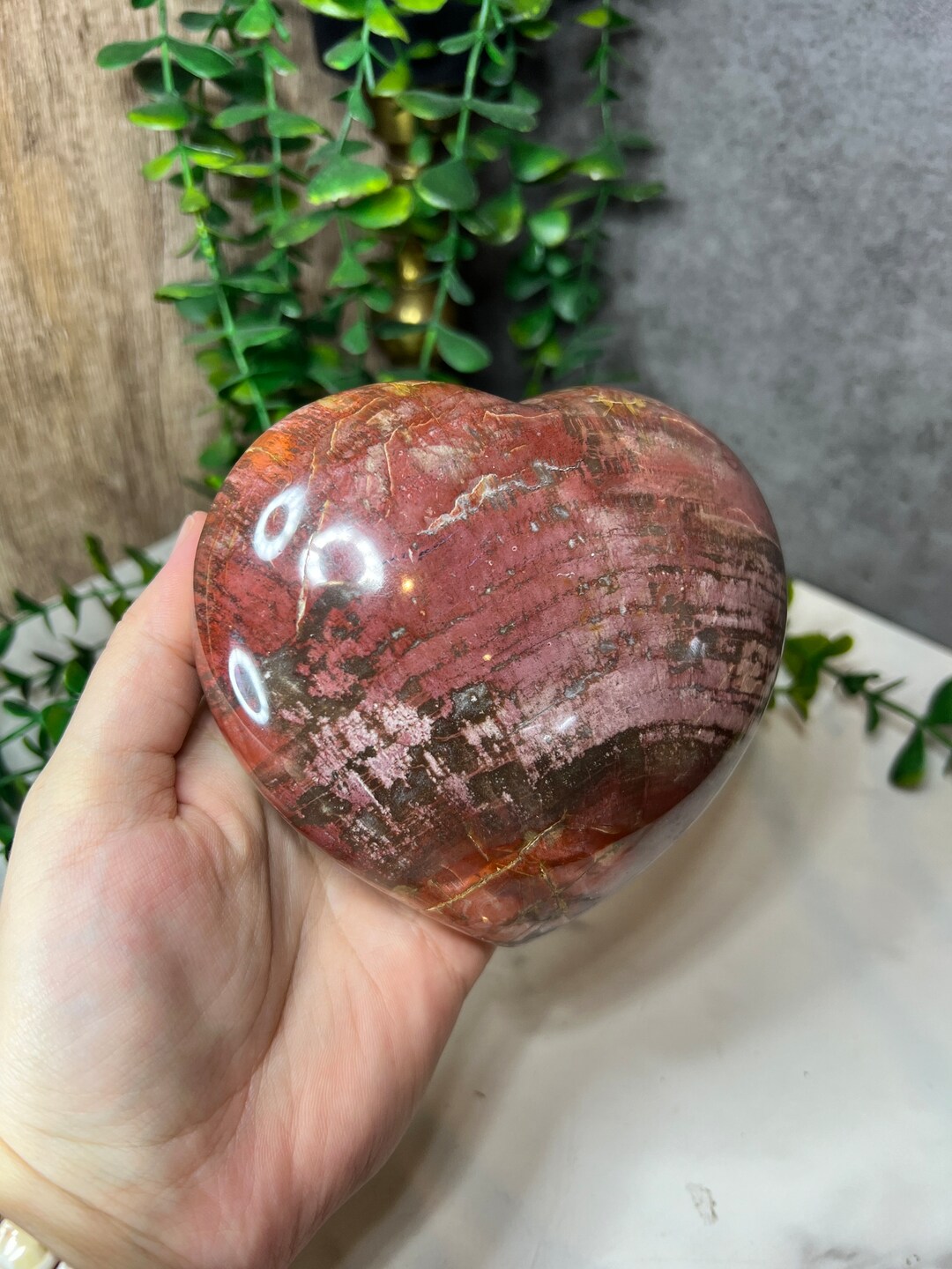 Red Podocarpus Petrified Wood Carved Heart From Mahajanga, Madagascar ...
