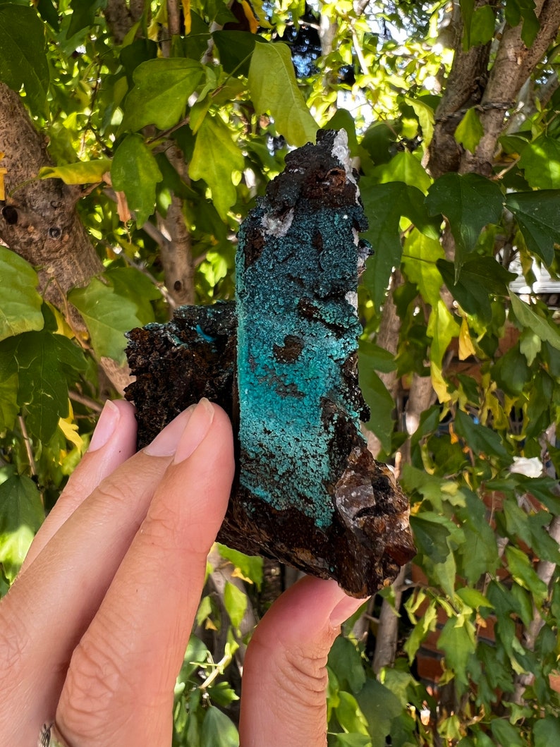 Chrysocolla, Malachite, Limonite and Tenorite on Quartz From Tentadora ...