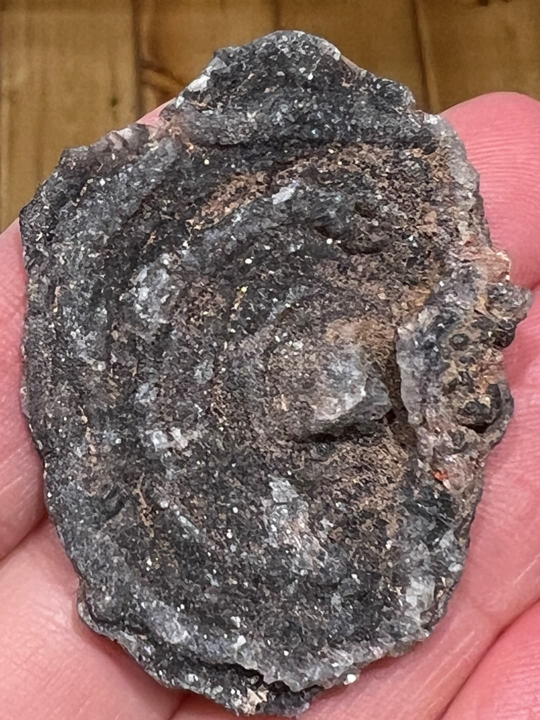 Chalcedony Rose/ Beekite From West Java, Indonesia: MIN Miniature 1 ...