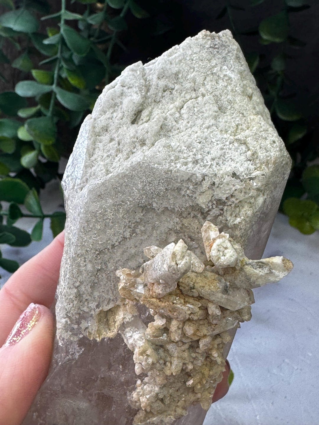 Diamantina Quartz With White Phantoms and Inclusions and Barnacle From ...