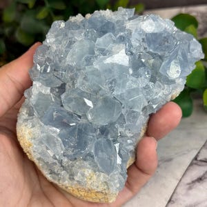 Stunning Celestite / Celestine Geode From Sakoany, Madagascar: LGC ...