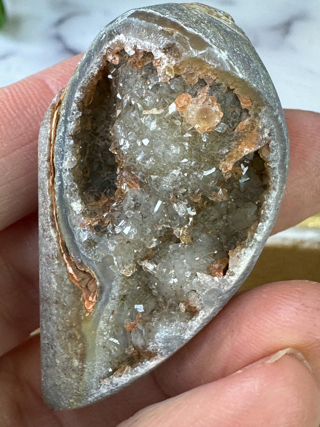 Fossilized Quartz Spirallite Shell Cretaceous Period From Prehistoric ...