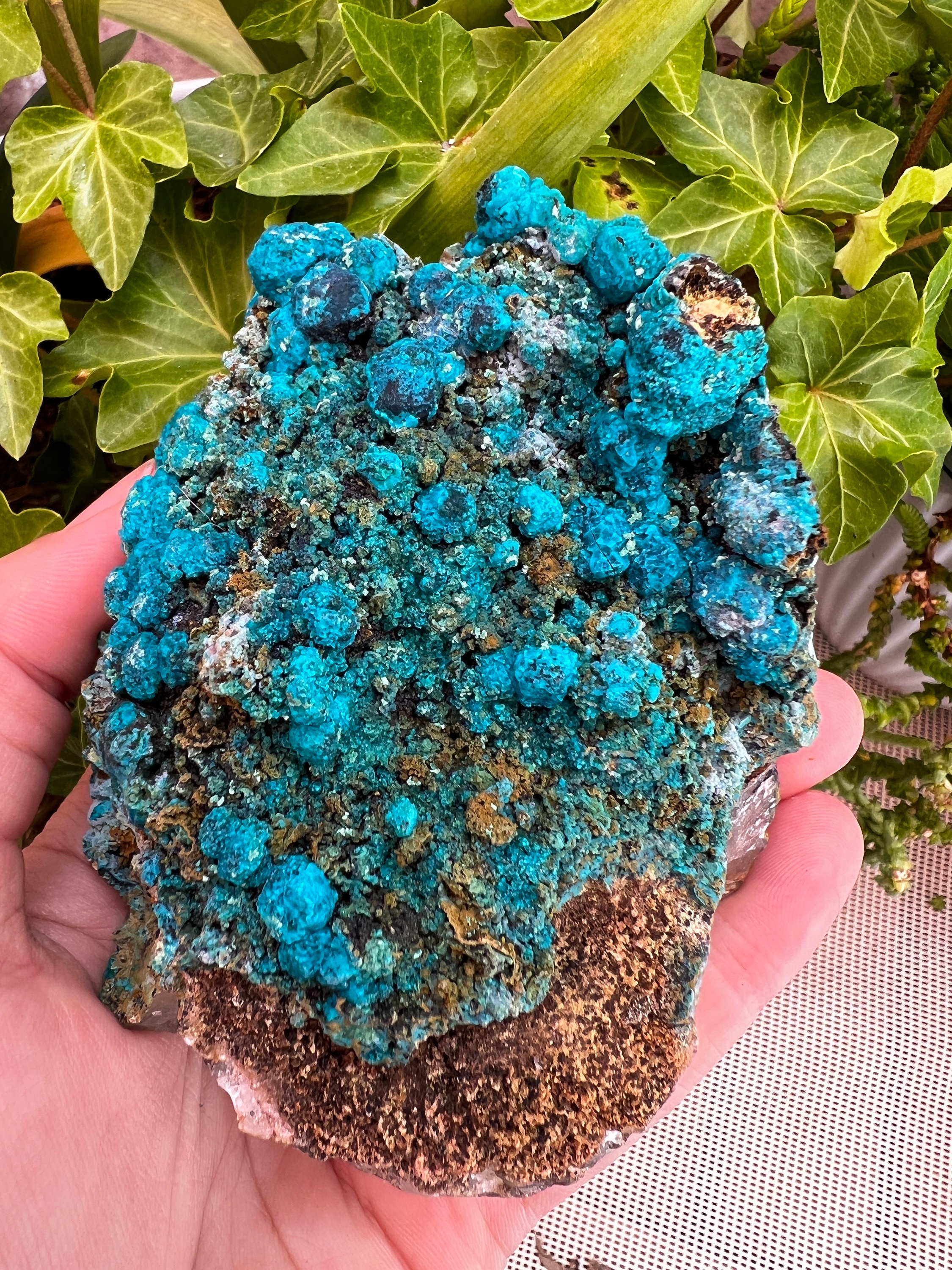 Chrysocolla , Malachite, Limonite and Tenorite on Quartz From Tentadora ...