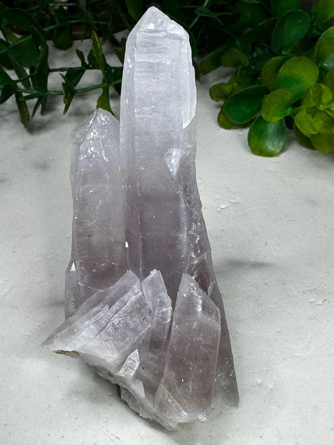 Lilac Quartz From Sulawesi Island, Indonesia: CAB Cabinet Size 4in/90g ...