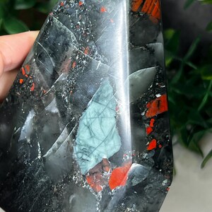 Polished Bloodstone With Pyrite Flecks From Swaziland: LGC Large ...