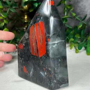 Polished Bloodstone With Pyrite Flecks From Swaziland: LGC Large ...