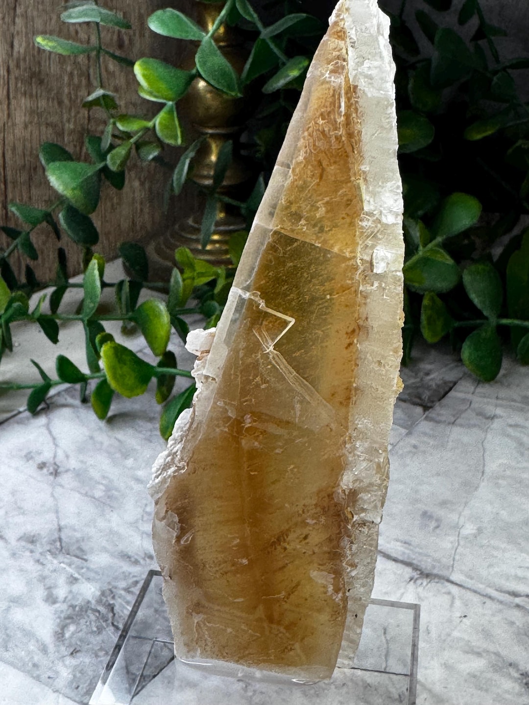 Bi-color Selenite W/ Rainbows From Montalban, Spain: LGC Large Cabinet ...
