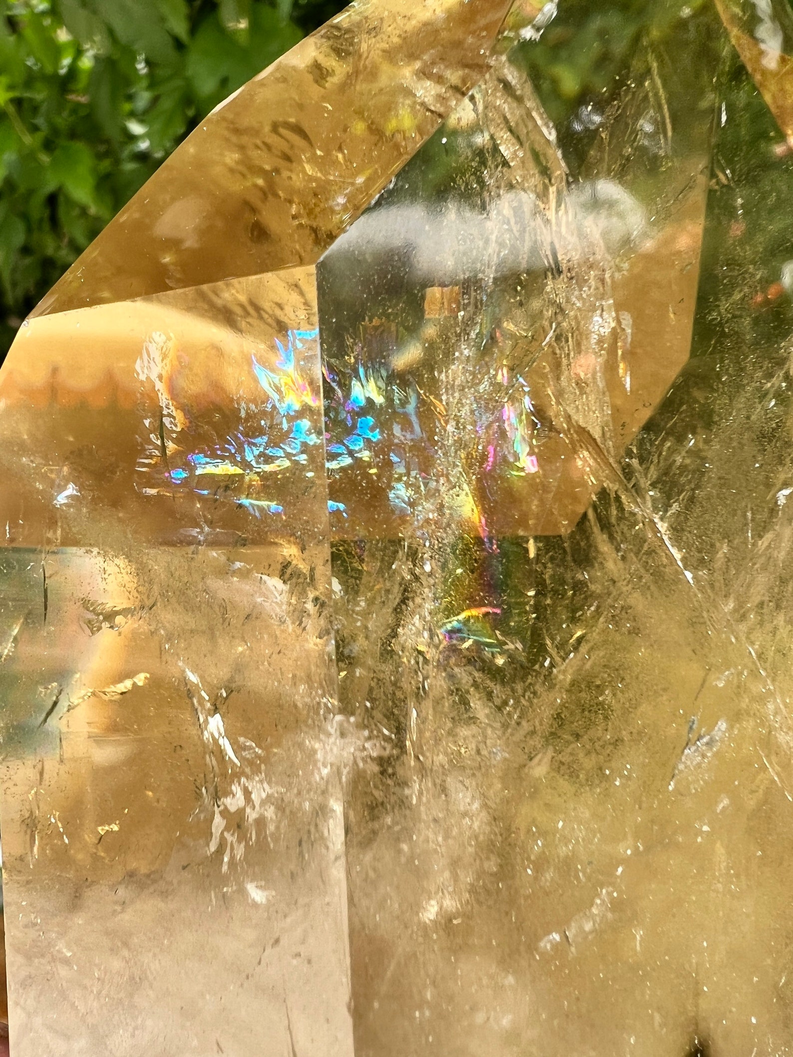 Amazing Huge High Grade Natural Citrine Point W/ Chlorite - Etsy