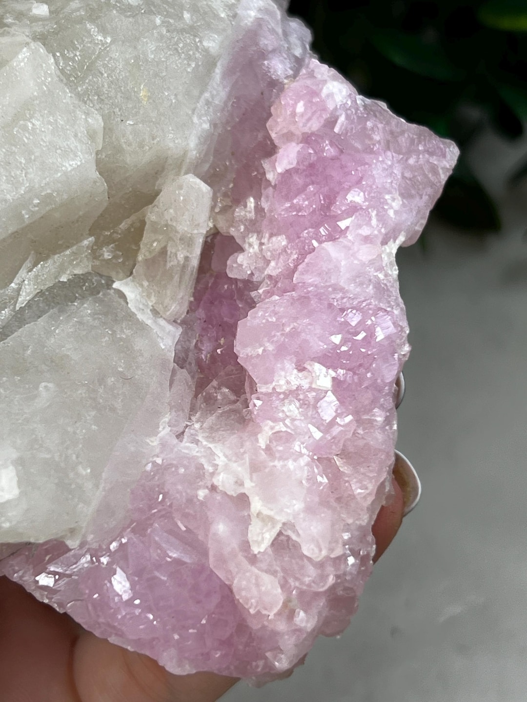 Rare Pink Crystallized / Crystalline Rose Quartz From Taquaqral Itinga ...