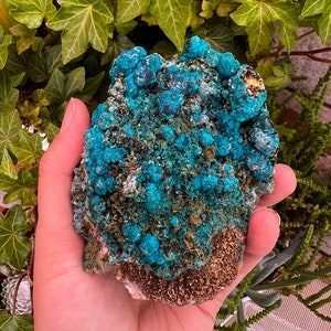 Chrysocolla , Malachite, Limonite and Tenorite on Quartz From Tentadora ...