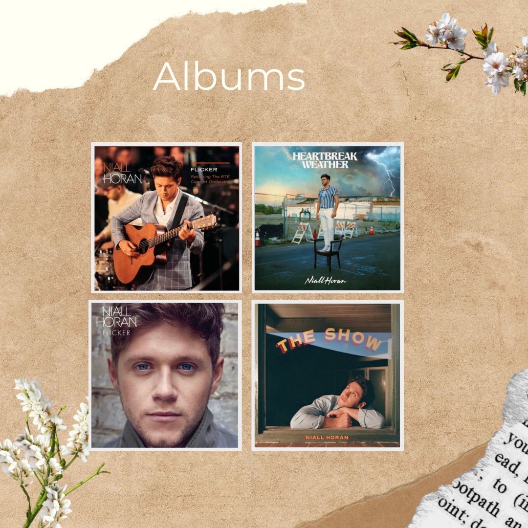 Niall Horan Album Stickers - Etsy