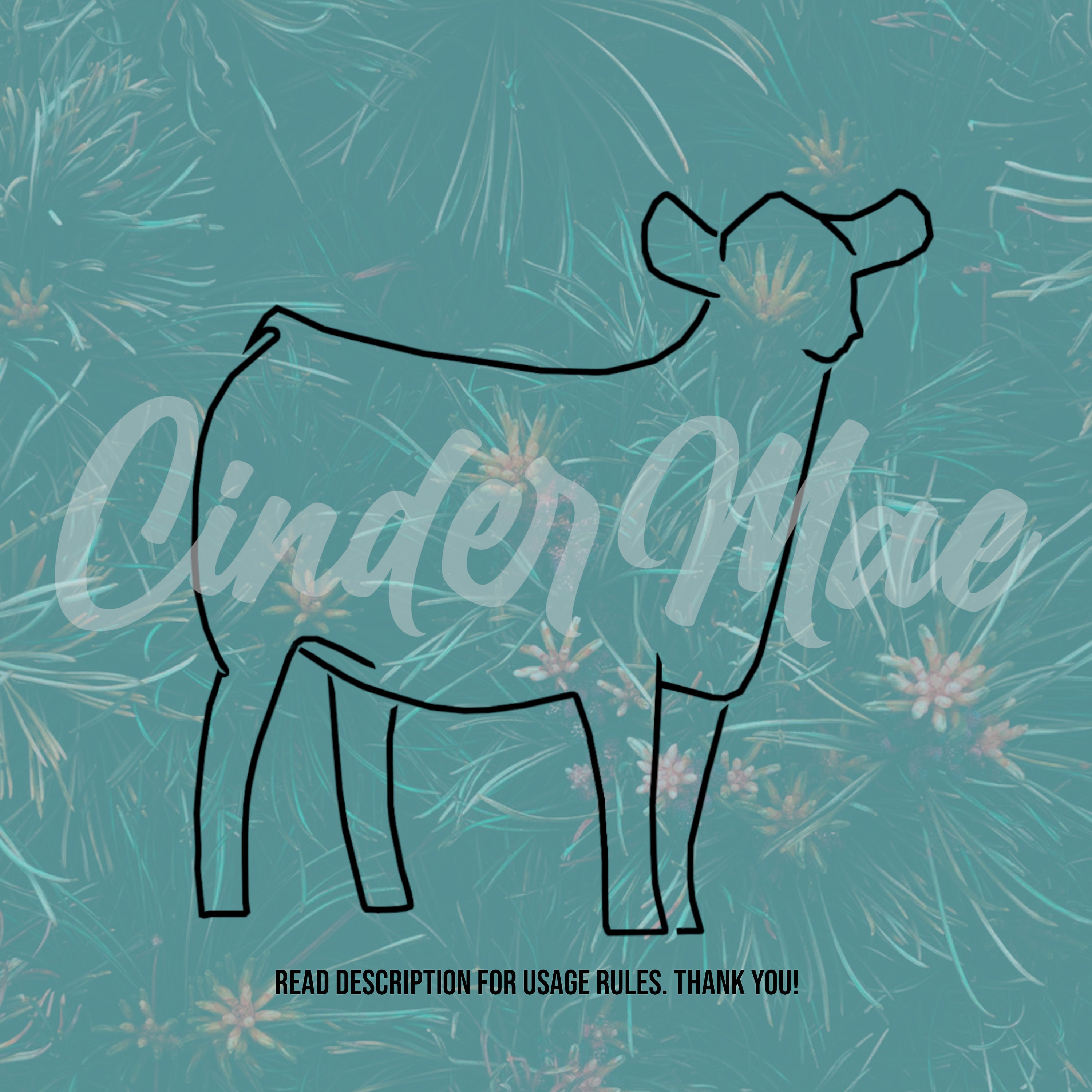 Show Heifer Silhouette Bundle || 3 .PNG Files || Livestock Digital ...