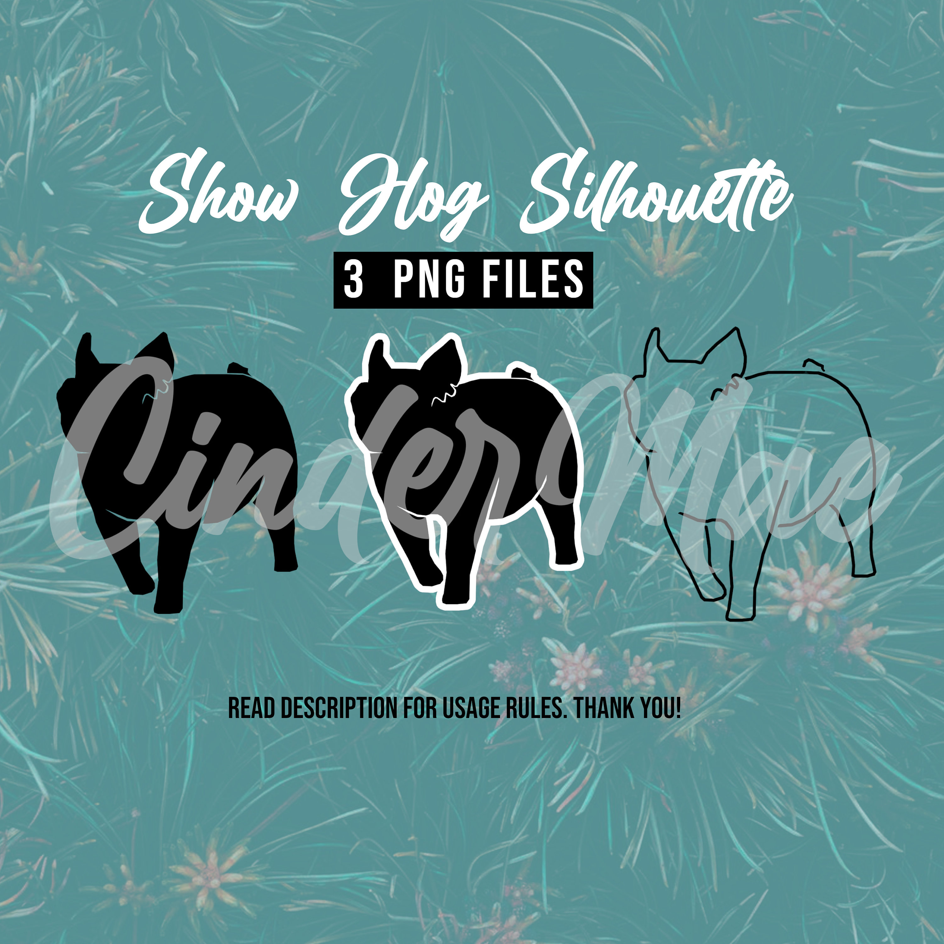 Show Hog Silhouette Bundle || 3 .PNG Digital Download 3 Variations ...