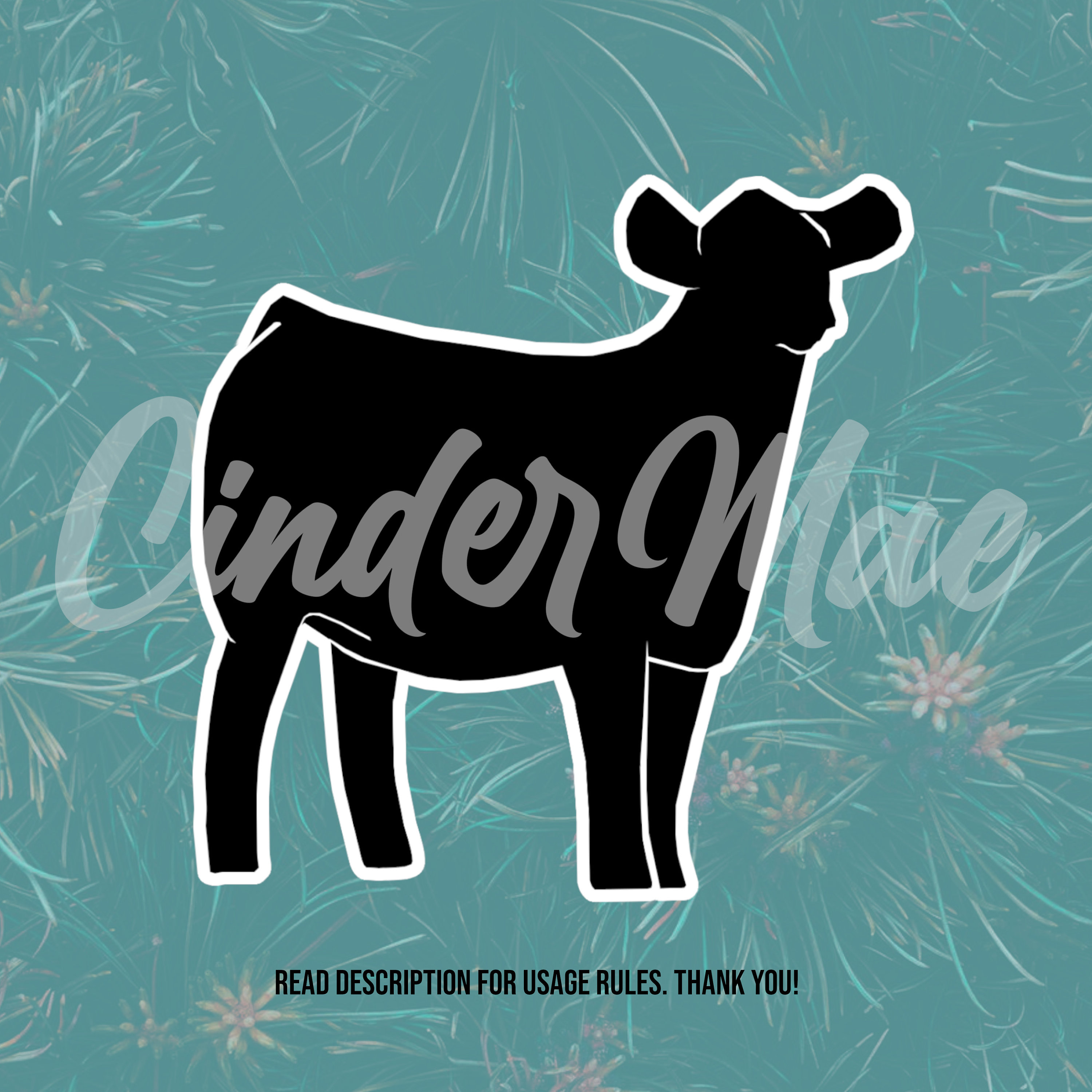 Show Heifer Silhouette Bundle || 3 .PNG Files || Livestock Digital ...