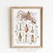 Advanced Potion Making Chart | Magic Botanical Watercolor Printable ...