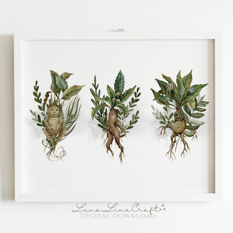 Herbology - Etsy