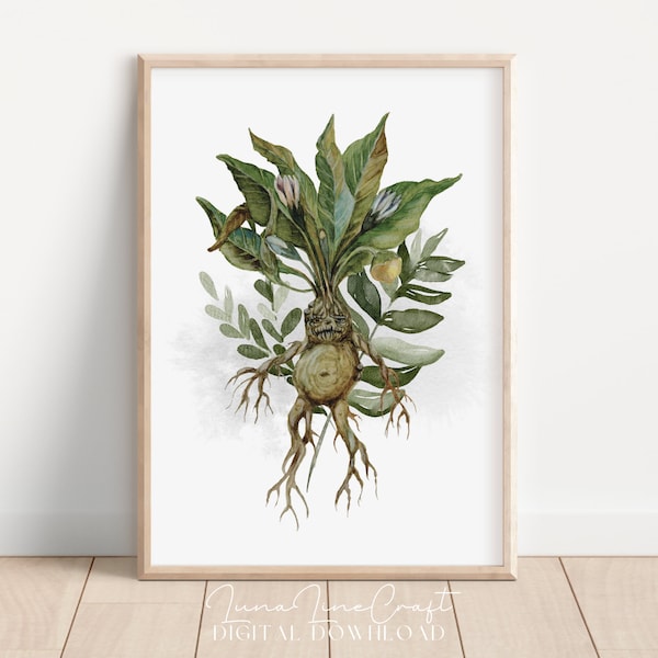 Mandrake Print - Etsy