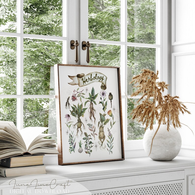 Herbology Medicinal Plant Chart Magic Botanical Watercolor - Etsy
