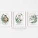 Set of Three HP Botanical Beasts | Magical Creatures Watercolor ...